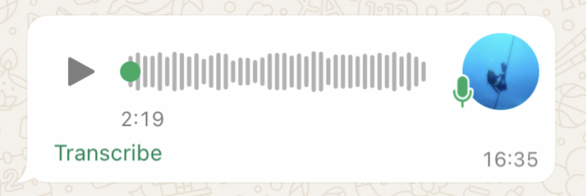How to Convert WhatsApp Messages to Text | Transcribe